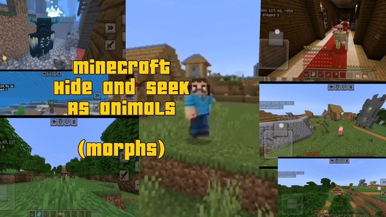 Hide and Seek as Animals/Mob/Monsters (Morph) - YouTube