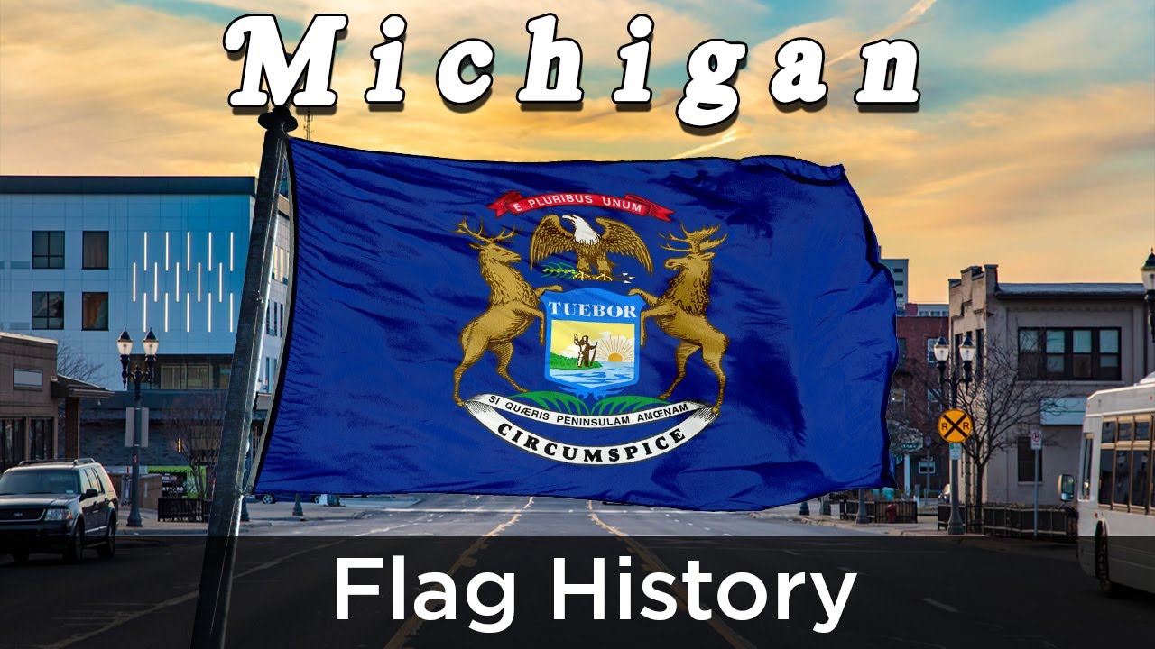 The Michigan Flag Explained | Flag Facts #history #flag #michigan #usa ...