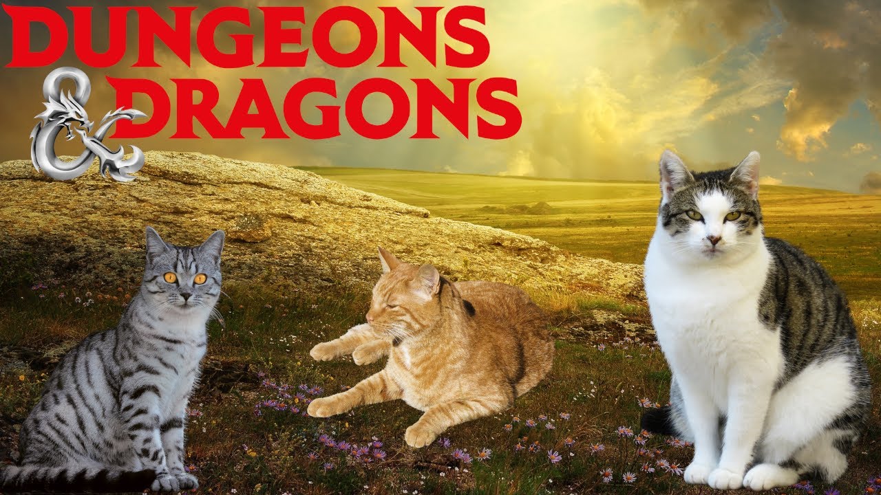 Cats — When your feline friend needs a stat block (D&D Compendium of ...