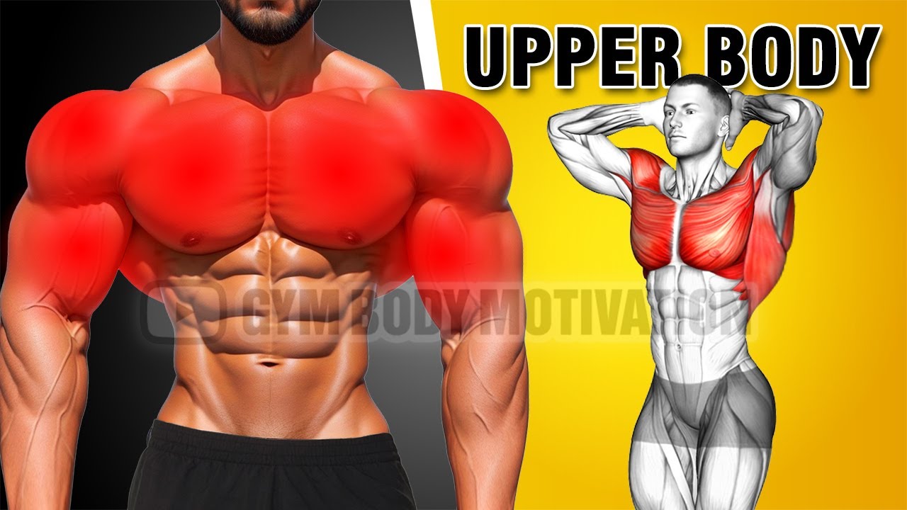The Best Full UPPER BODY Workout For Max Muscle Growth - YouTube
