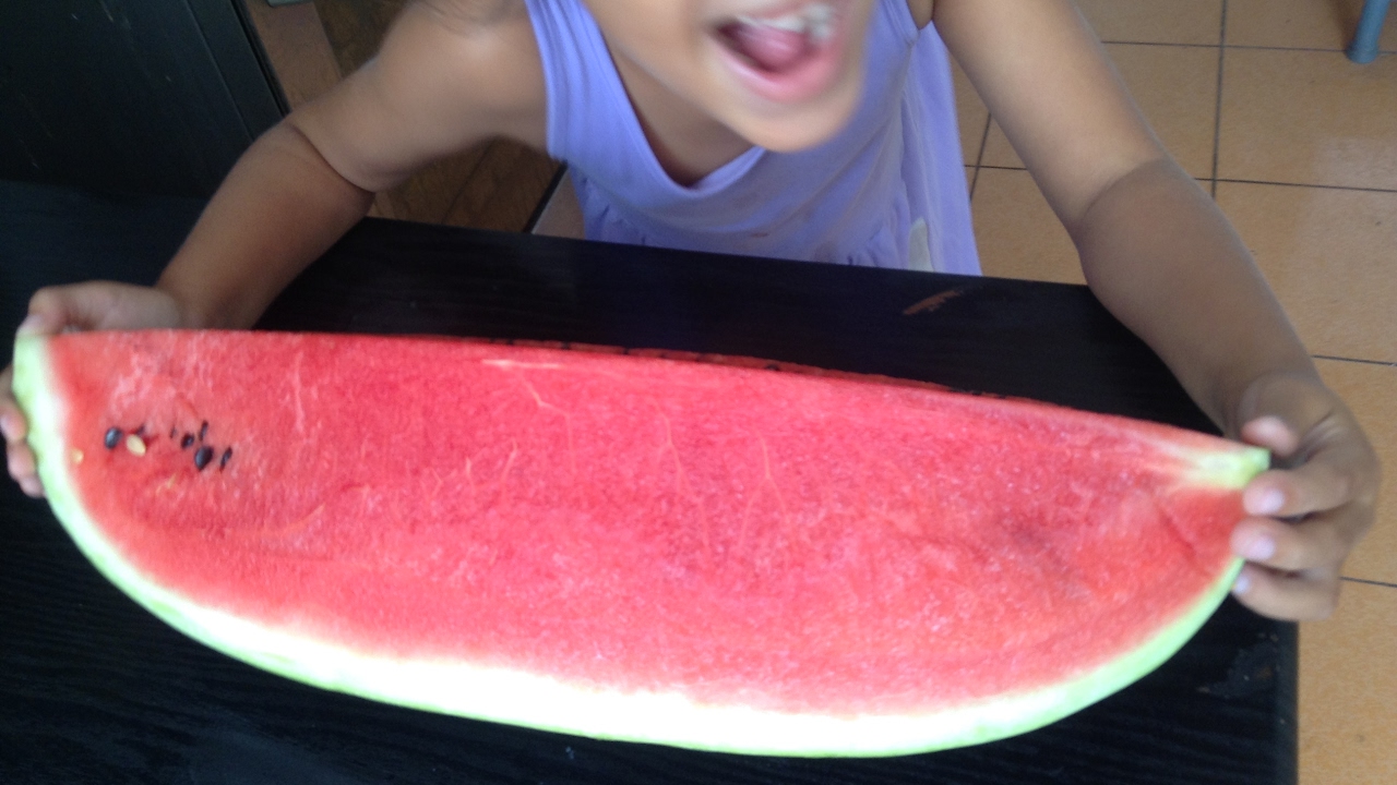 LA SANDIA DE PERÚ, DELICIOSA Y ÚNICA PERÚ ES MILLONARIO - YouTube