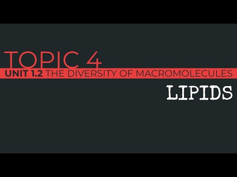 AP Biology: Lipids - YouTube