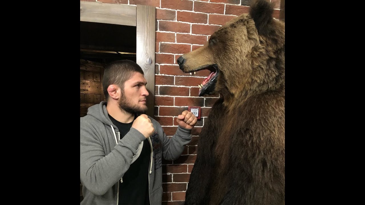 Khabib Nurmagomedov wrestling with a bear and UFC - YouTube