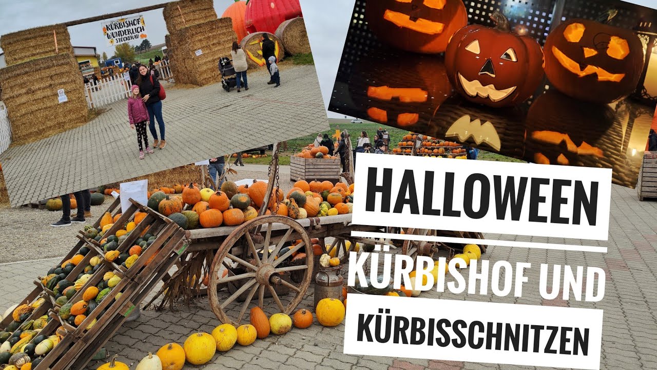 Kürbishof Wunderlich in Stockerau, Halloween und Kürbisschnitzen - YouTube