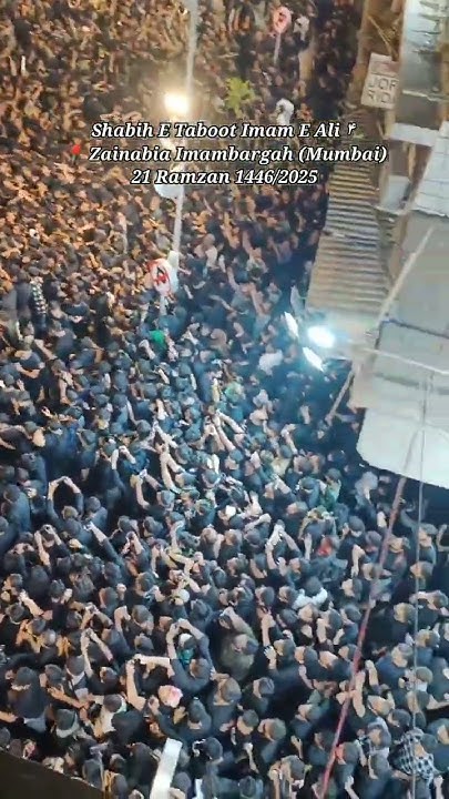 Taboot e Imam Ali(a.s) Abdul Rahman ibn Muljim par laaanat - YouTube