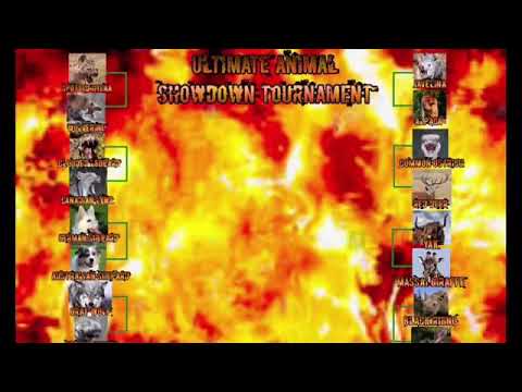 Ultimate Animal Showdown Tournament - Arena 1: Grassland! - YouTube
