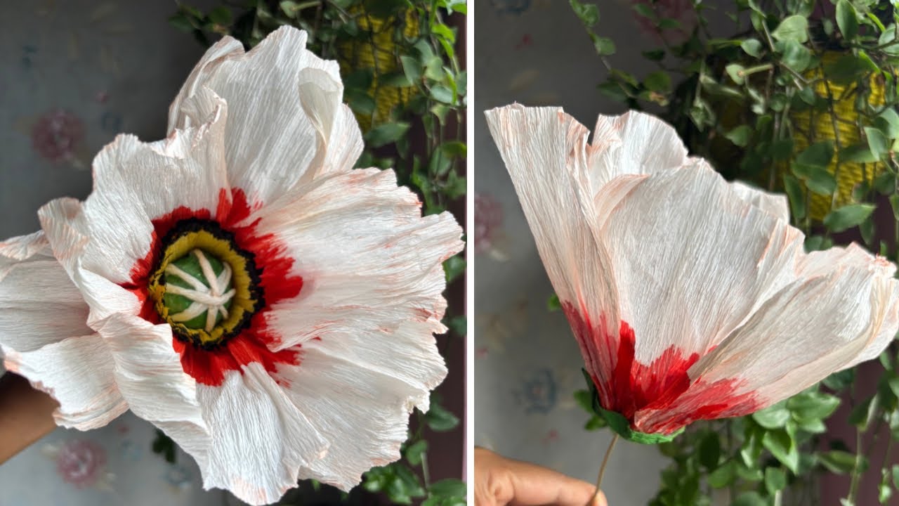 DIY Crepe Paper Poppy Flower | Handmade - YouTube