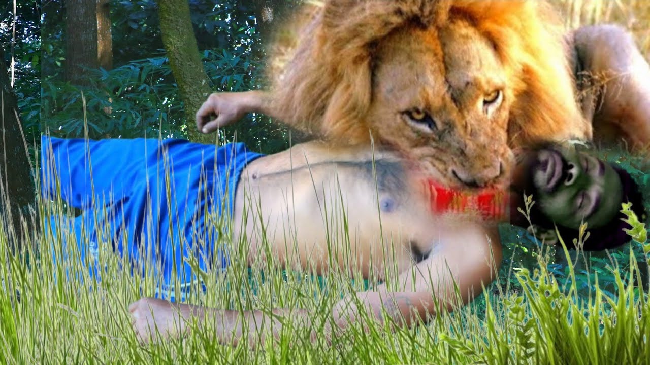 Lion Attack Man in Forest Lion Attack Hunter Lion Attack Stories Part ...