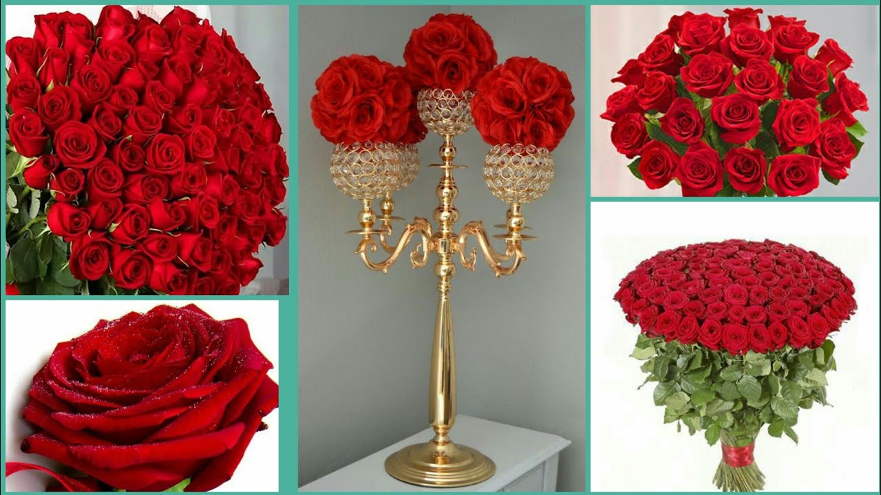 Awesome & he red rose decore ideas - YouTube
