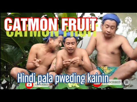 MUKBANG ¶ EATING CATMON FRUIT 🍑 🍓 | BASIC LANG SAKIN. - YouTube