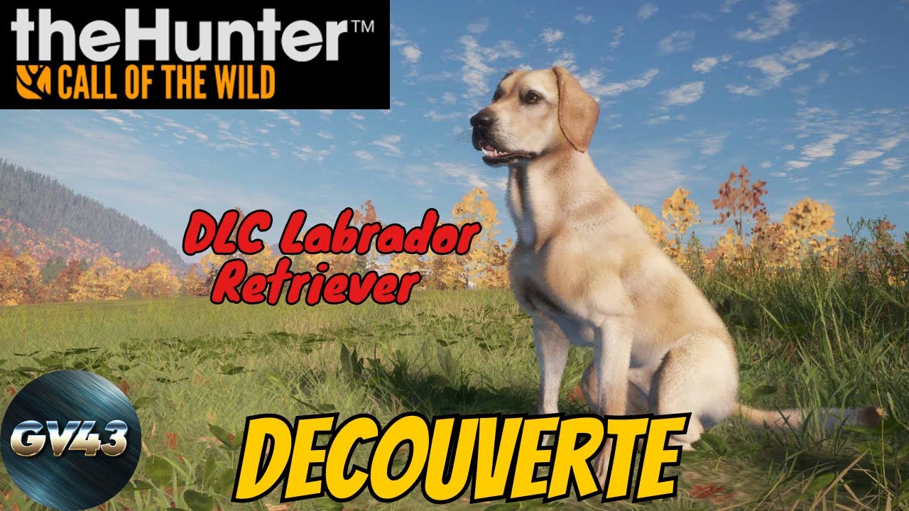 THE HUNTER COTW : Découverte du Labrador [ DLC ] | PC - YouTube