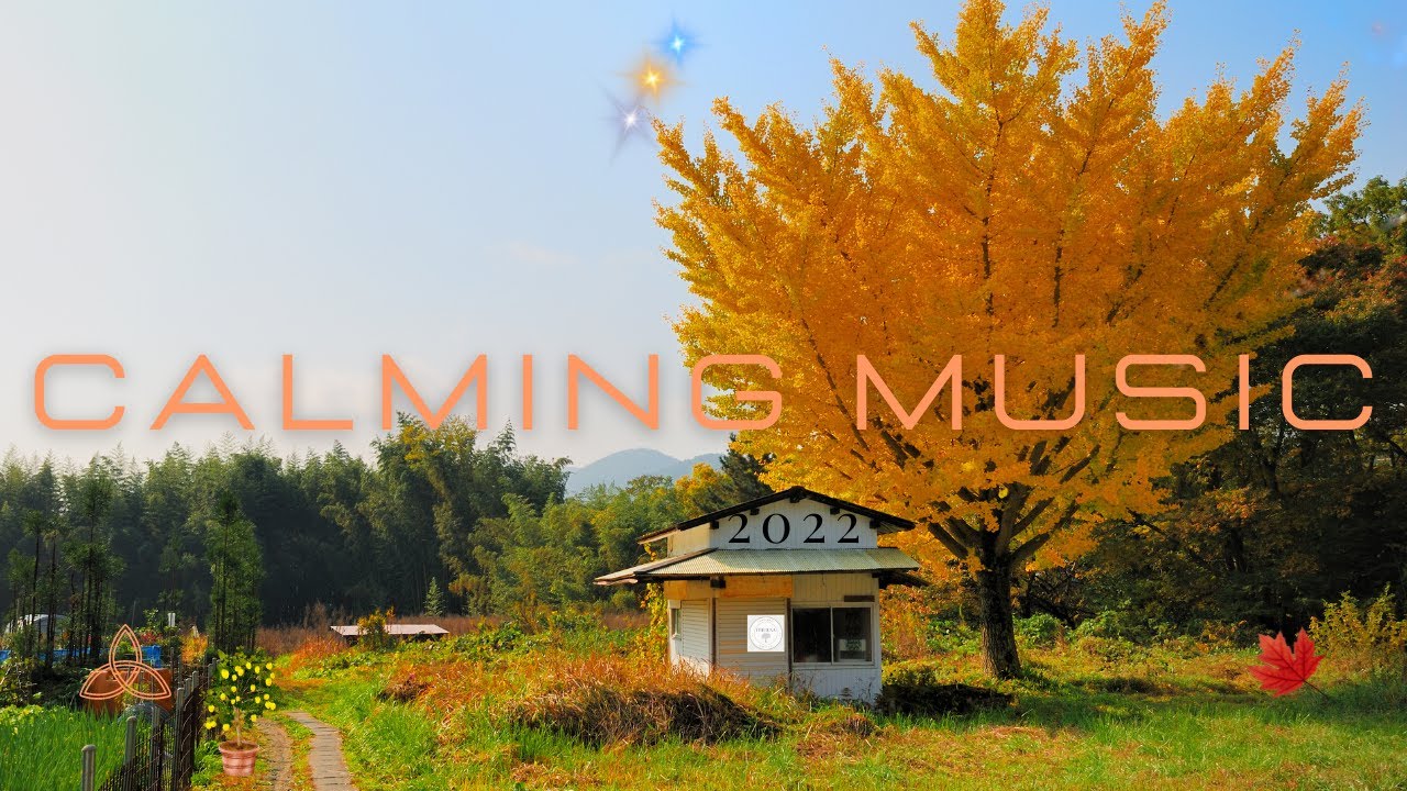 Undwind and Relax to the Amazing Music - YouTube