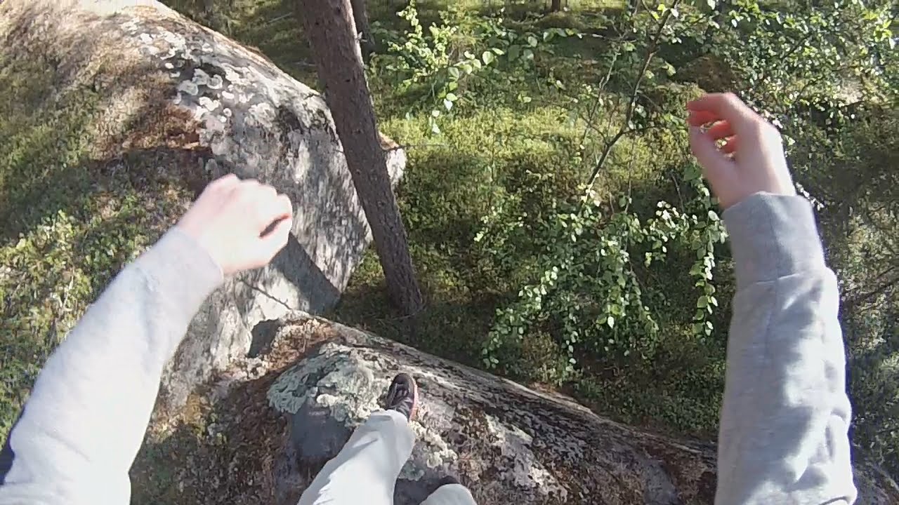 The forest (POV First person) - YouTube