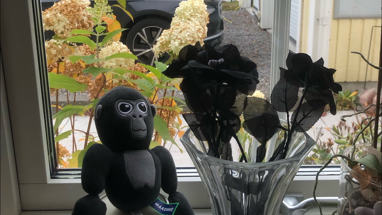 Gorilla tag fall flashback with me! (Don’t watch it’s dumb!) - YouTube