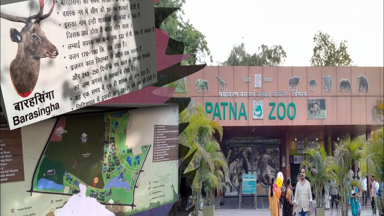 पटना चिड़ियाघर का पूरा दौरा मेरे साथ🥰 patna zoo full tour with me ️ ...