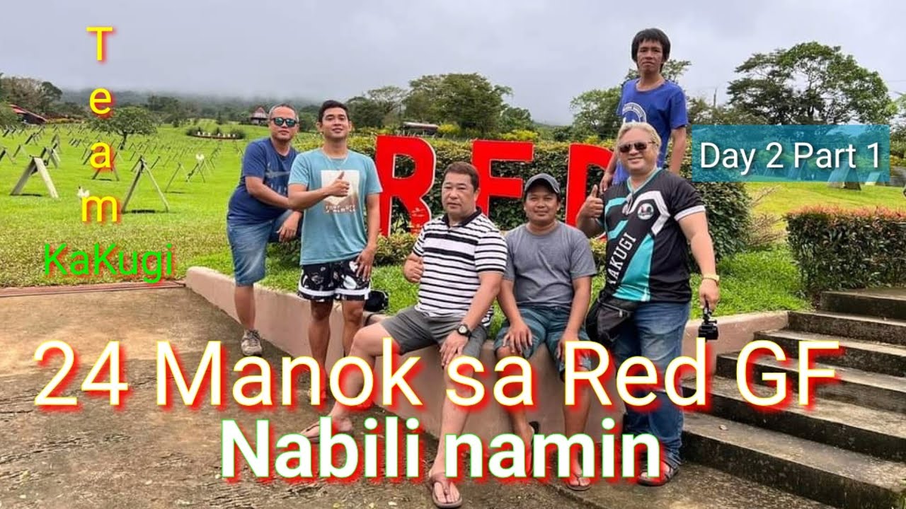 EP440 Day 2 Part 1: bumili kami 24 Manok sa Red GF - YouTube