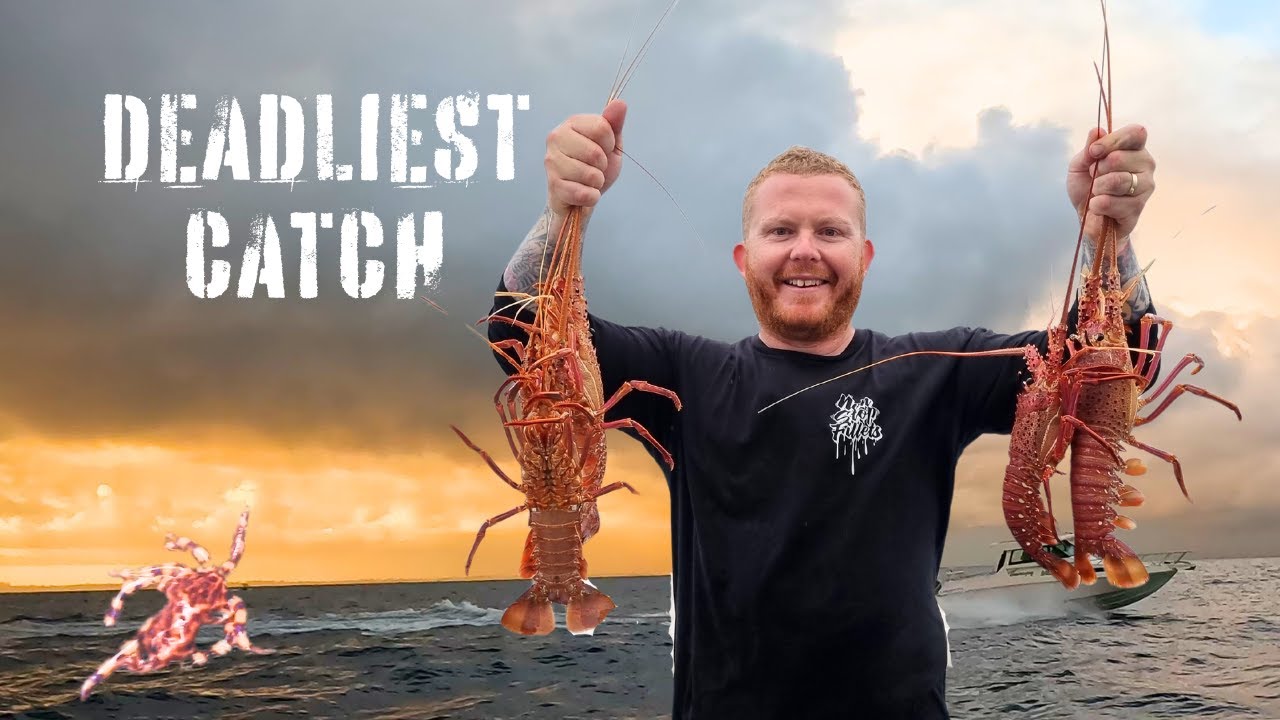 Cray pot pull with deadly surprise visitor! 29/11 #crayfish #lobster ...