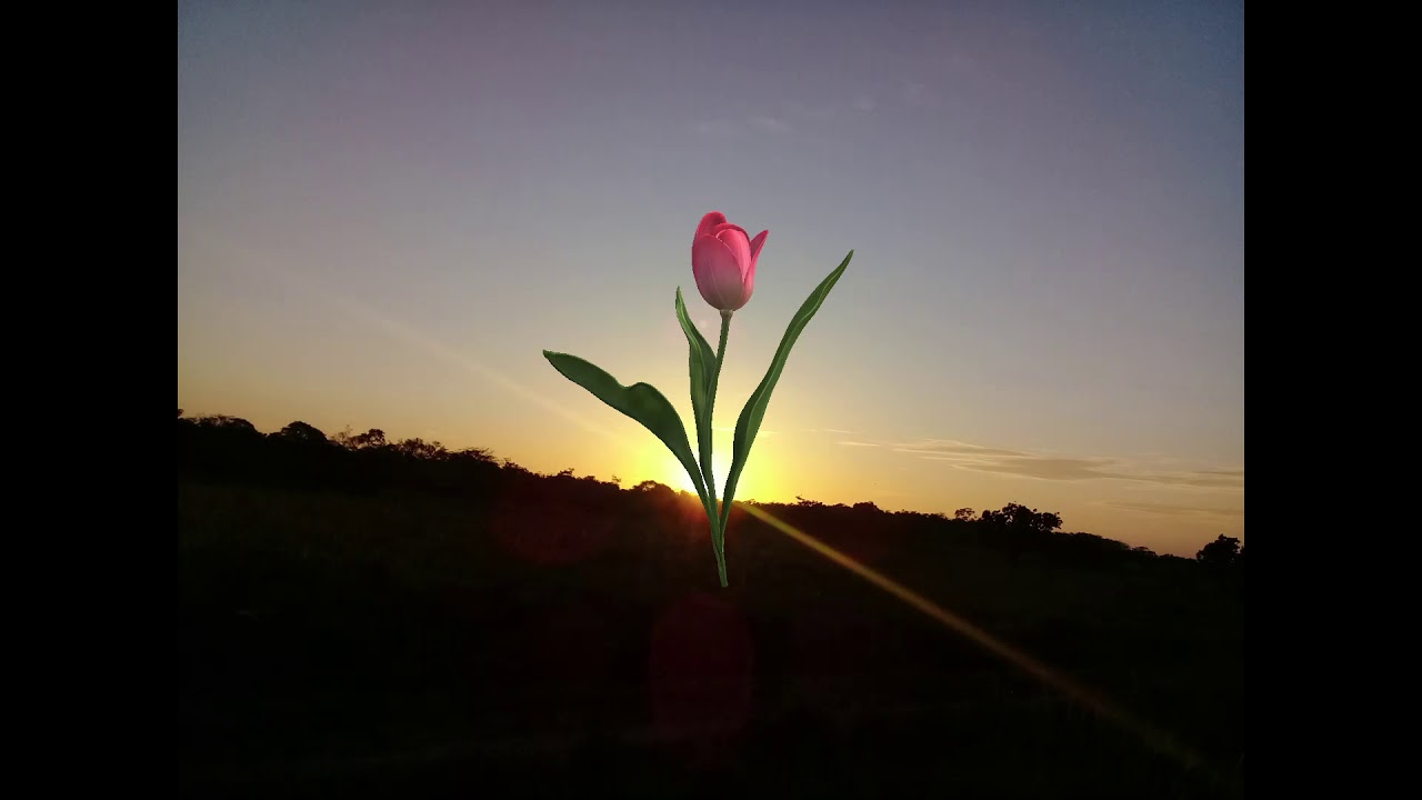 Macushi Arts Production - Blessed is the man by Guy Marco Sr. - YouTube