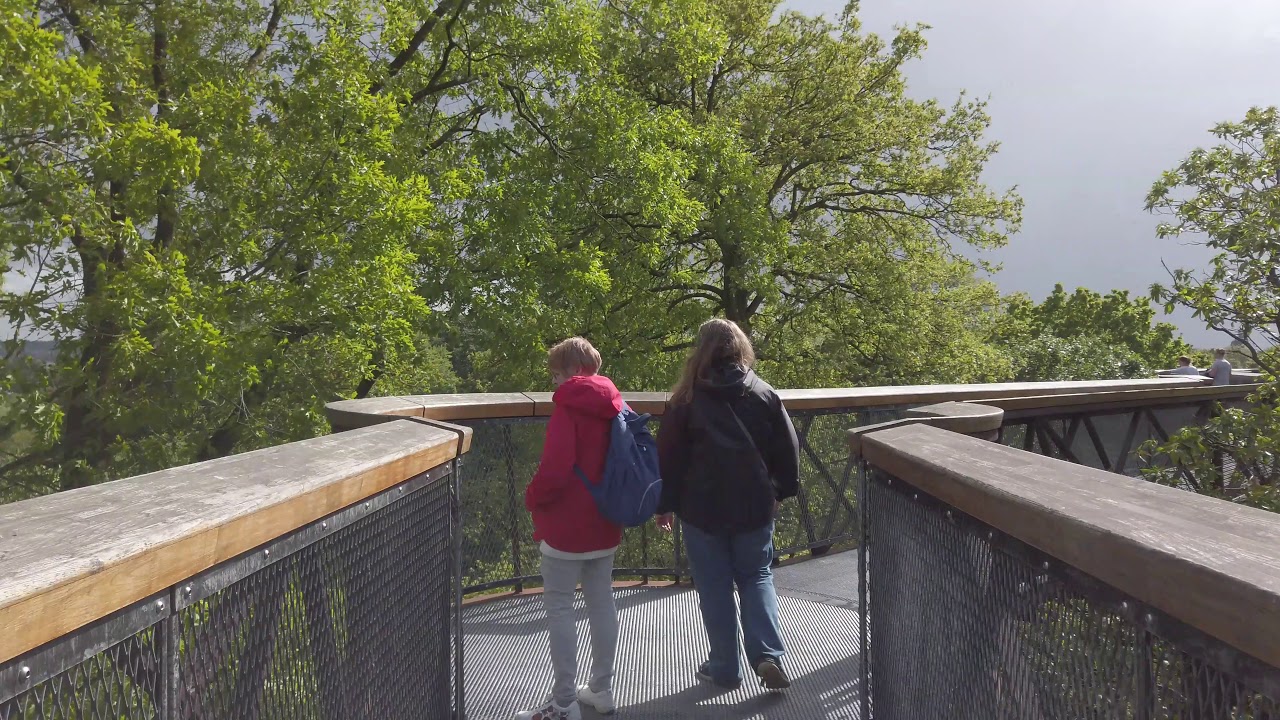 A walk around the treetops at the Royal Botanic Gardens, Kew - 4k - YouTube