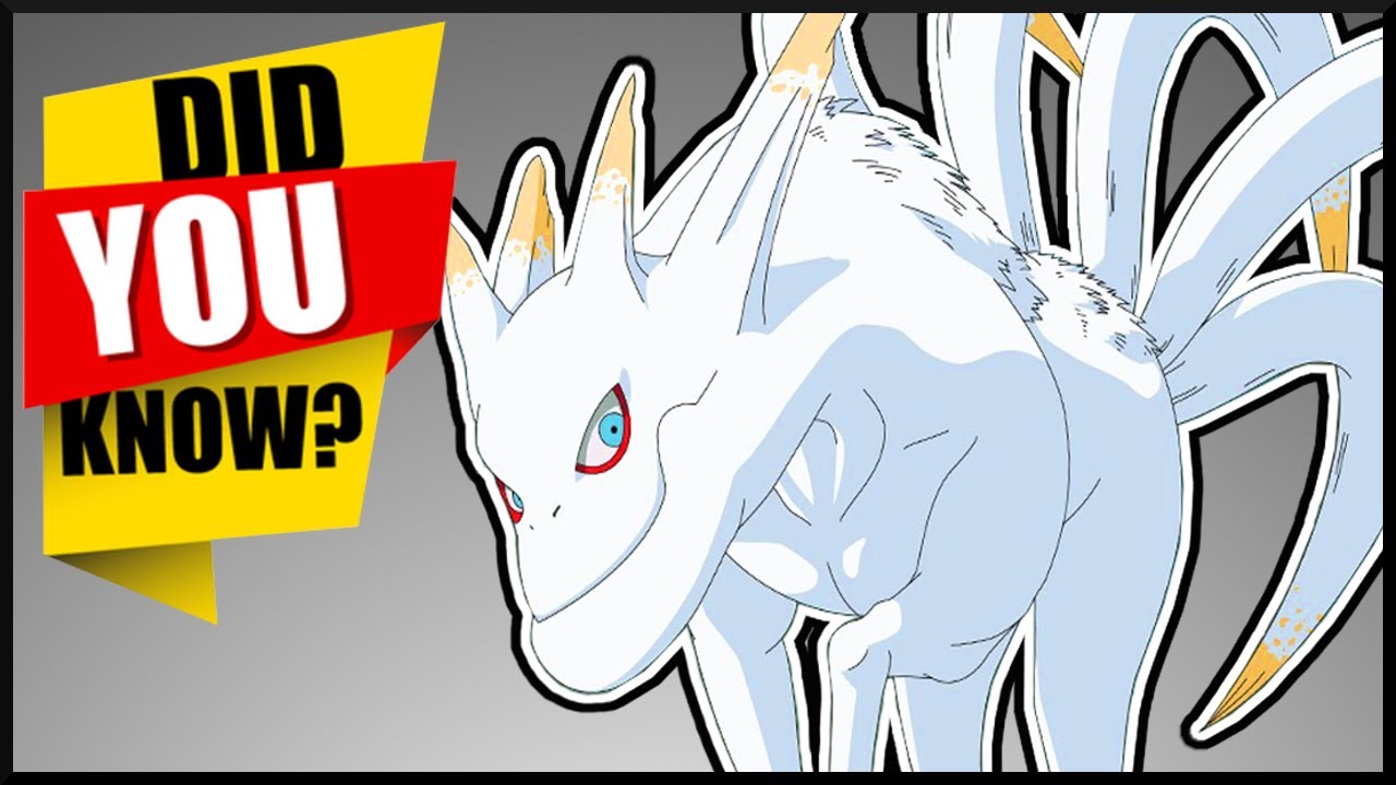 Did You Know That The Five Tails... - YouTube