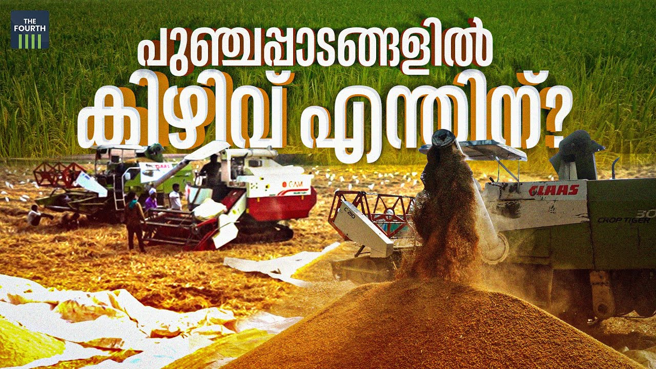 പുഞ്ചപ്പാടങ്ങളില്‍ കിഴിവ് എന്തിന് ? | Kuttanad | Paddy Cultivation ...