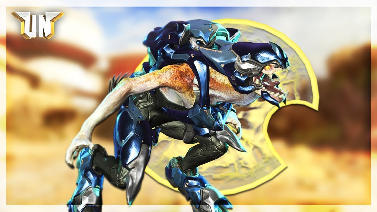 Halo 5 - The Jackal Warzone Challenge! - YouTube