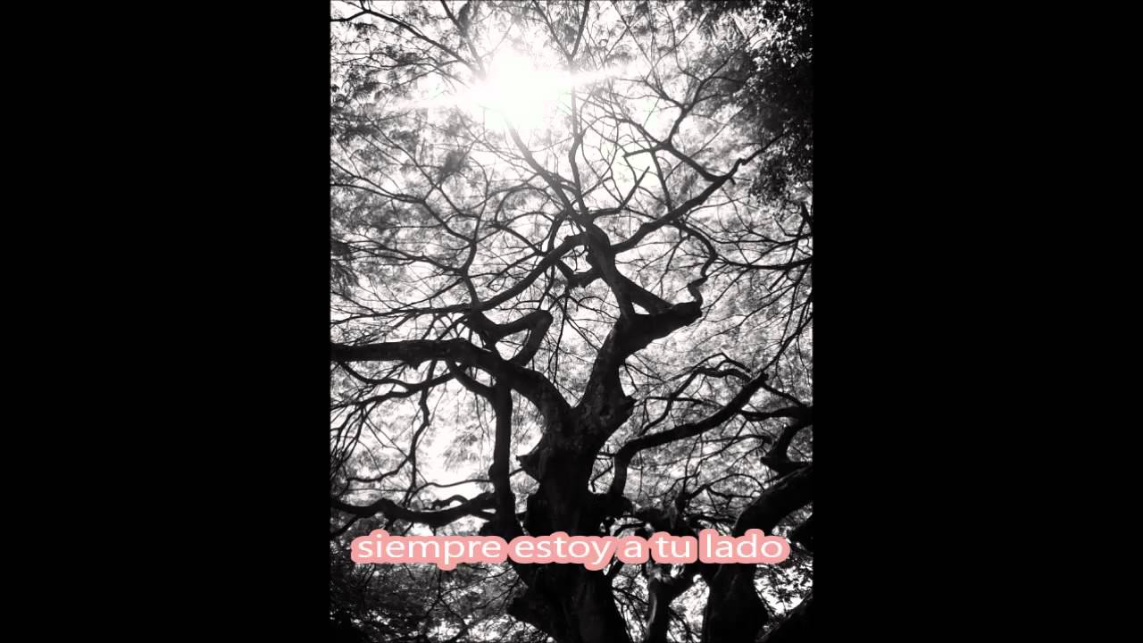 seremedy always by your side sub español - YouTube