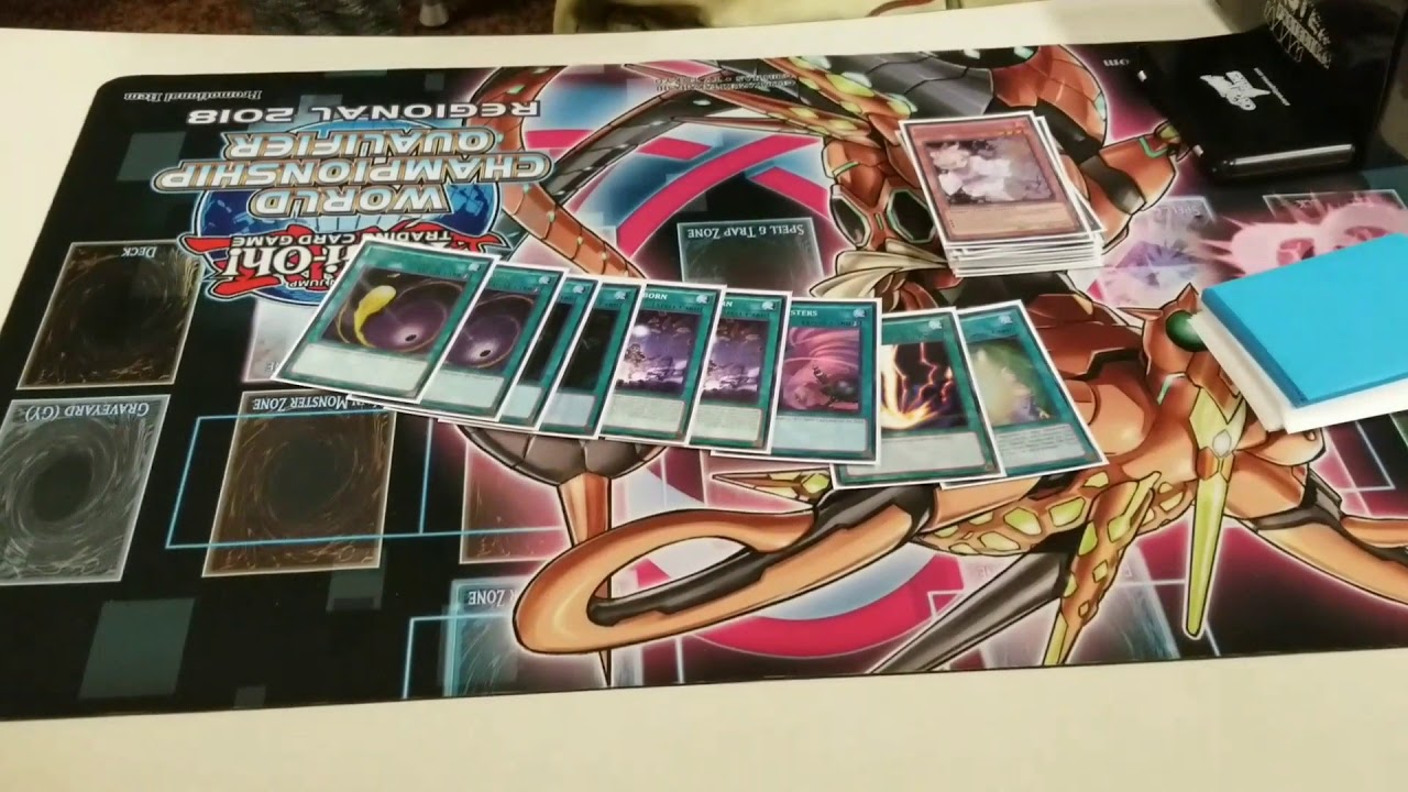 Kissimmee Regionals AUG. 2017 Top 8 Patrick Metayer Pure Zoodiac Deck ...