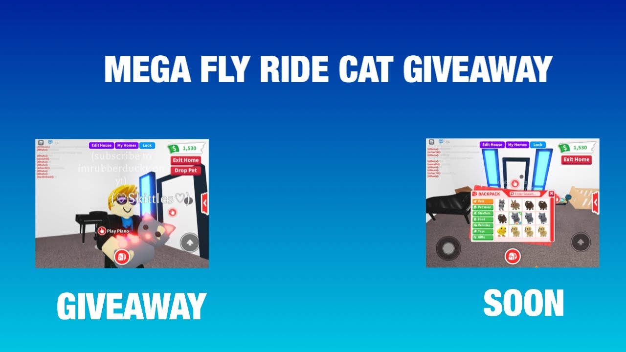 MEGA FLY RIDE CAT GIVEAWAY!! ( comment to enter - YouTube