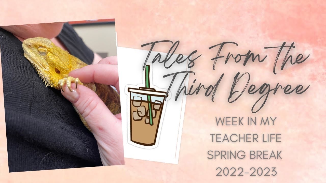 Week in my Teacher Life // Spring Break //Craft Room Overhaul // The ...