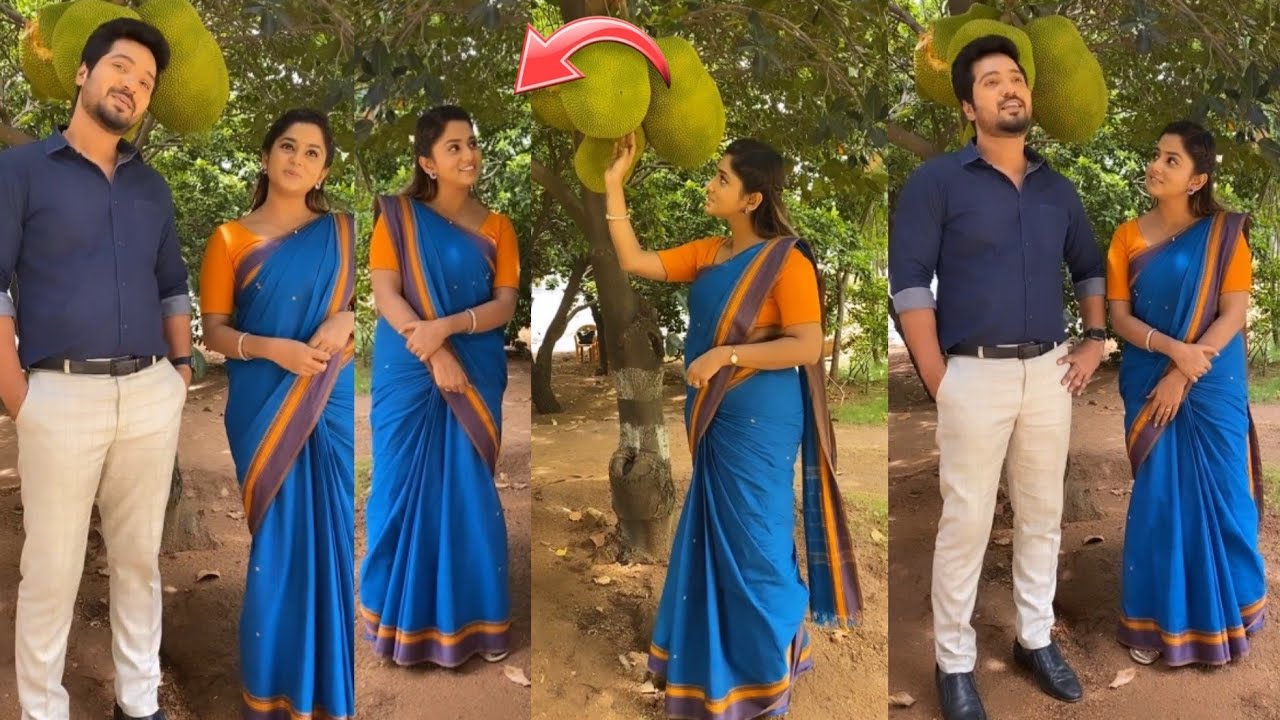 guppedantha manasu serial vasudhara, shailendra beautiful video ...