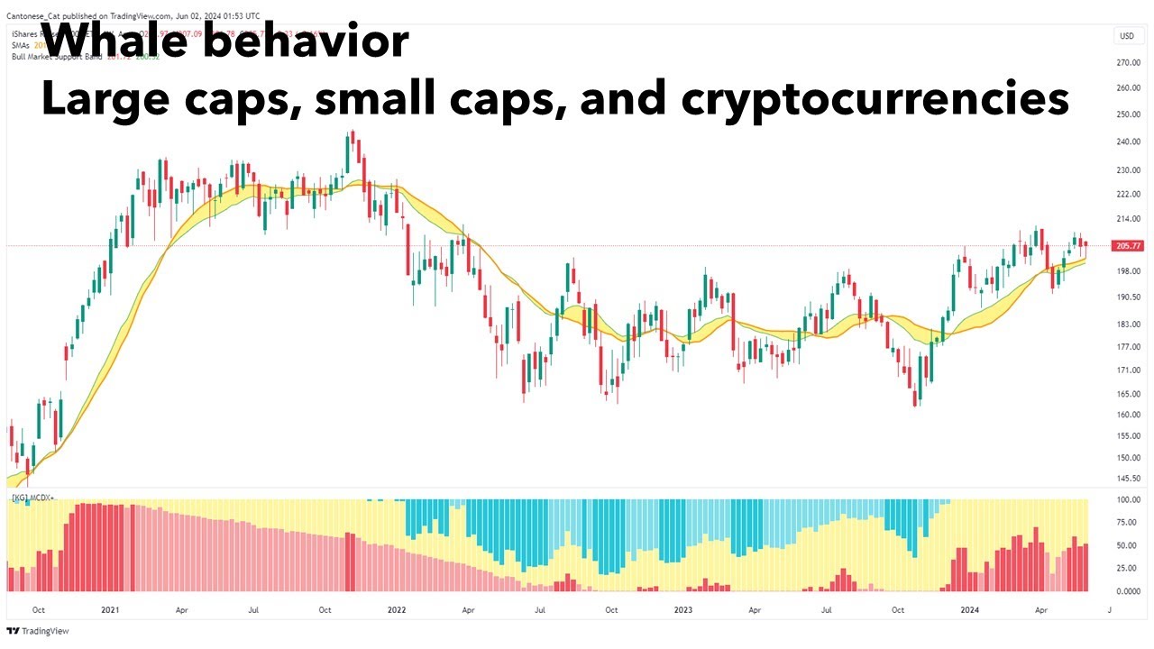 What are whales doing? Large cap $SPX #NASDAQ and small caps $IWM $RUT ...