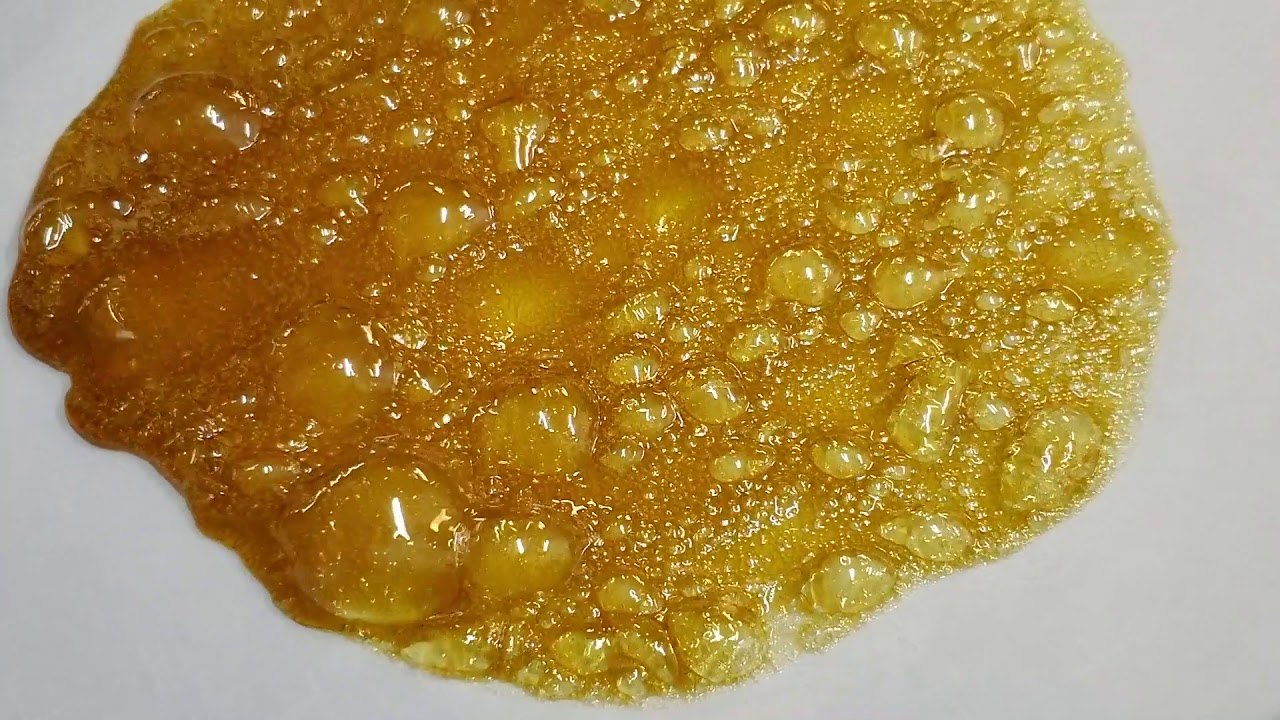 BHO Recovery & Purging in the Phoenix Cannabis Co Lab - YouTube