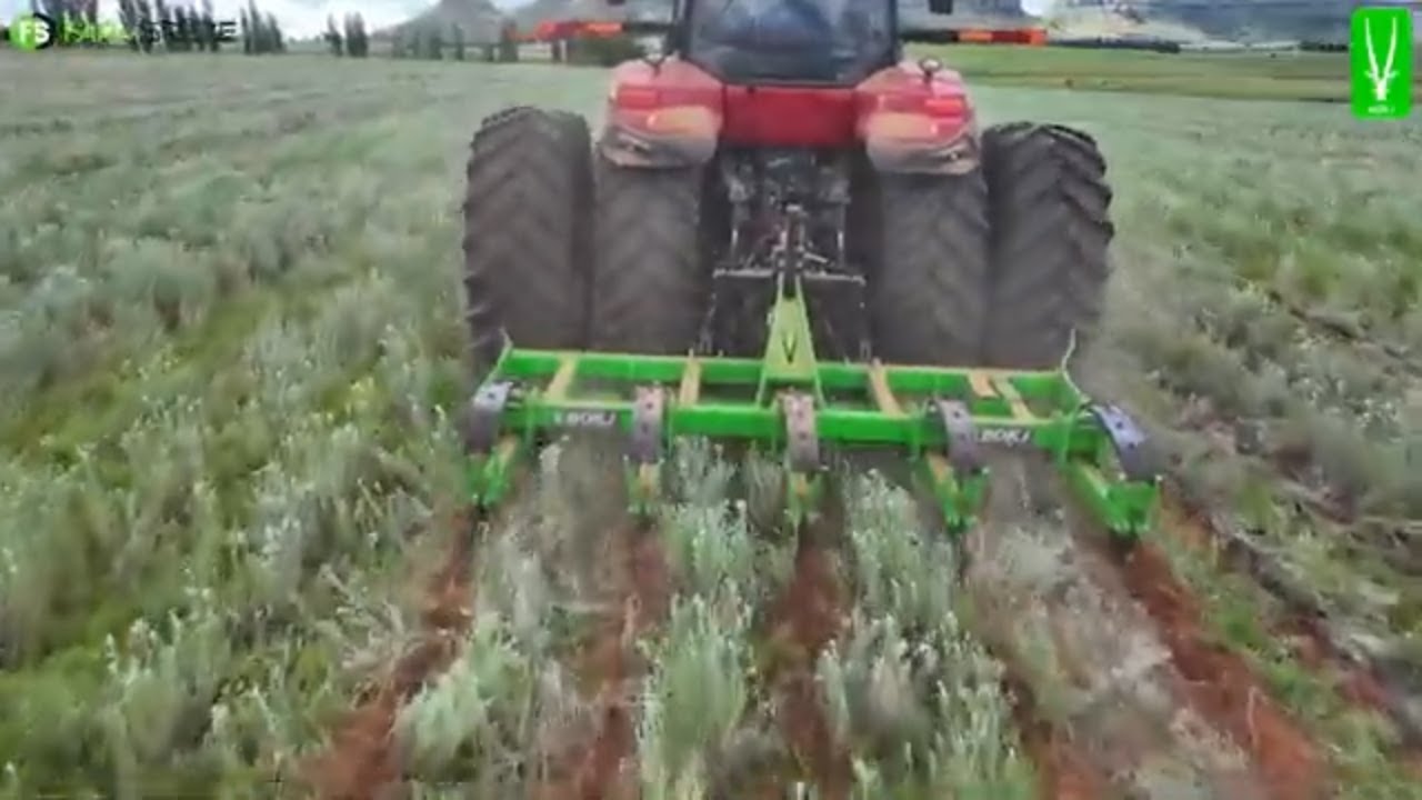 Wat is die verskil tussen mielies wat gerip is met 'n Bok.I Inline ...