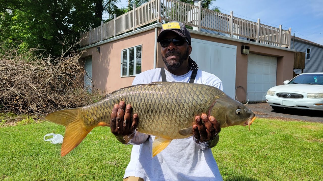 Father's Day Fishing for Catfish and Carp w/ Rigidy Fishing Adventures ...