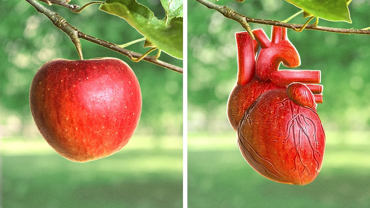 Genius Plant Hacks And Gardening Tips You Shouldn't Miss - YouTube