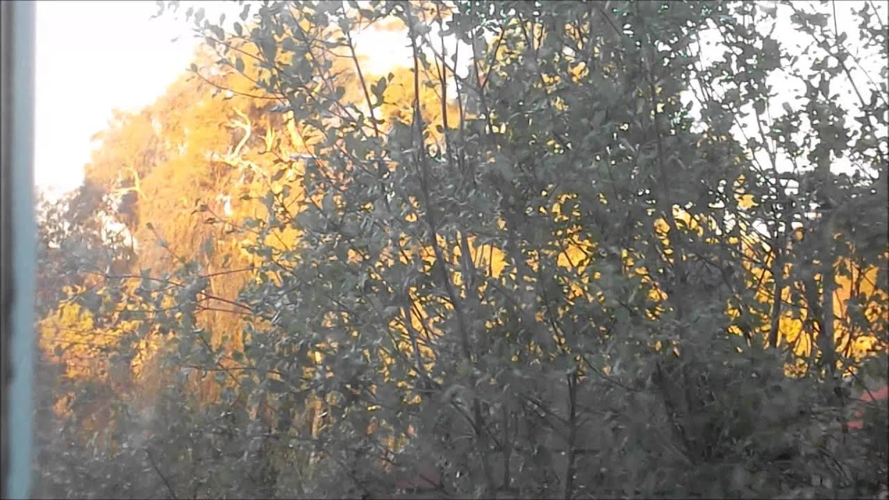 Melbourne Weather - March 04, 2013 - YouTube