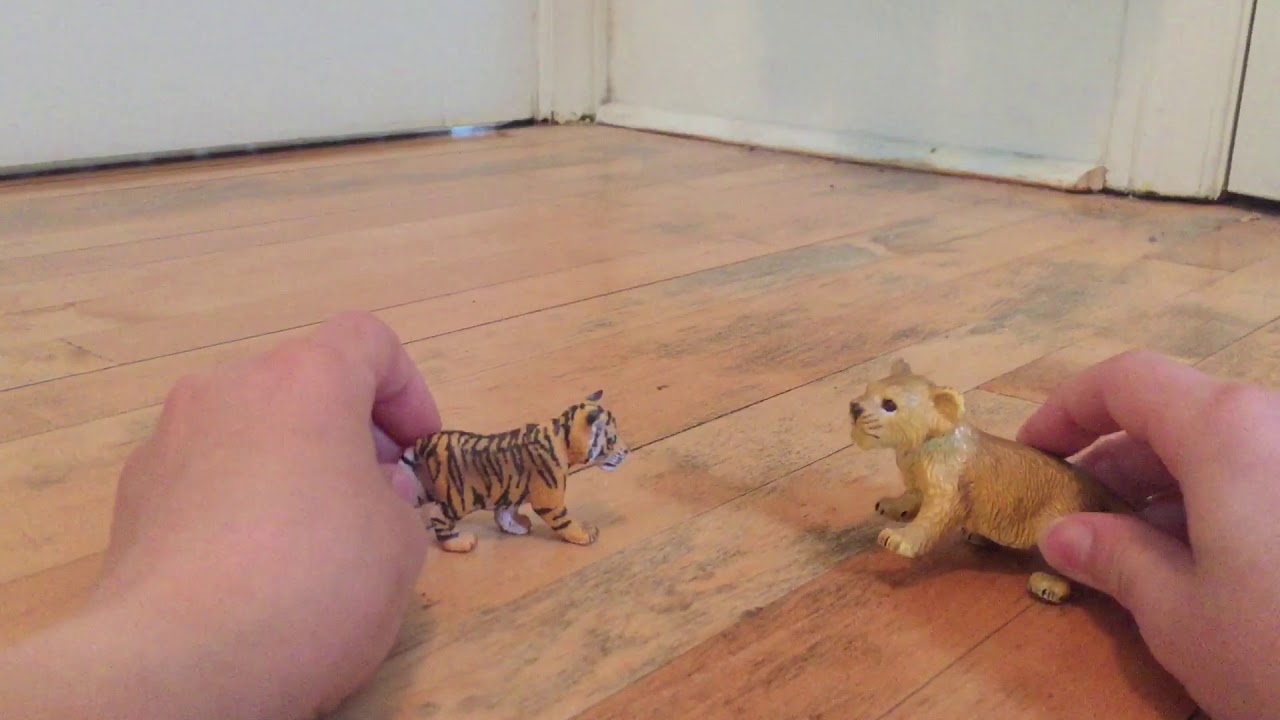 Baby animals argue about stuff... - YouTube