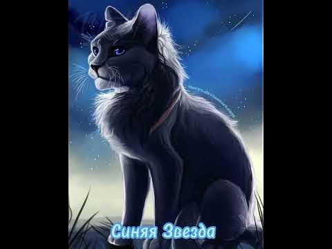 ~Синяя Звезда~Коты Воители~ - YouTube