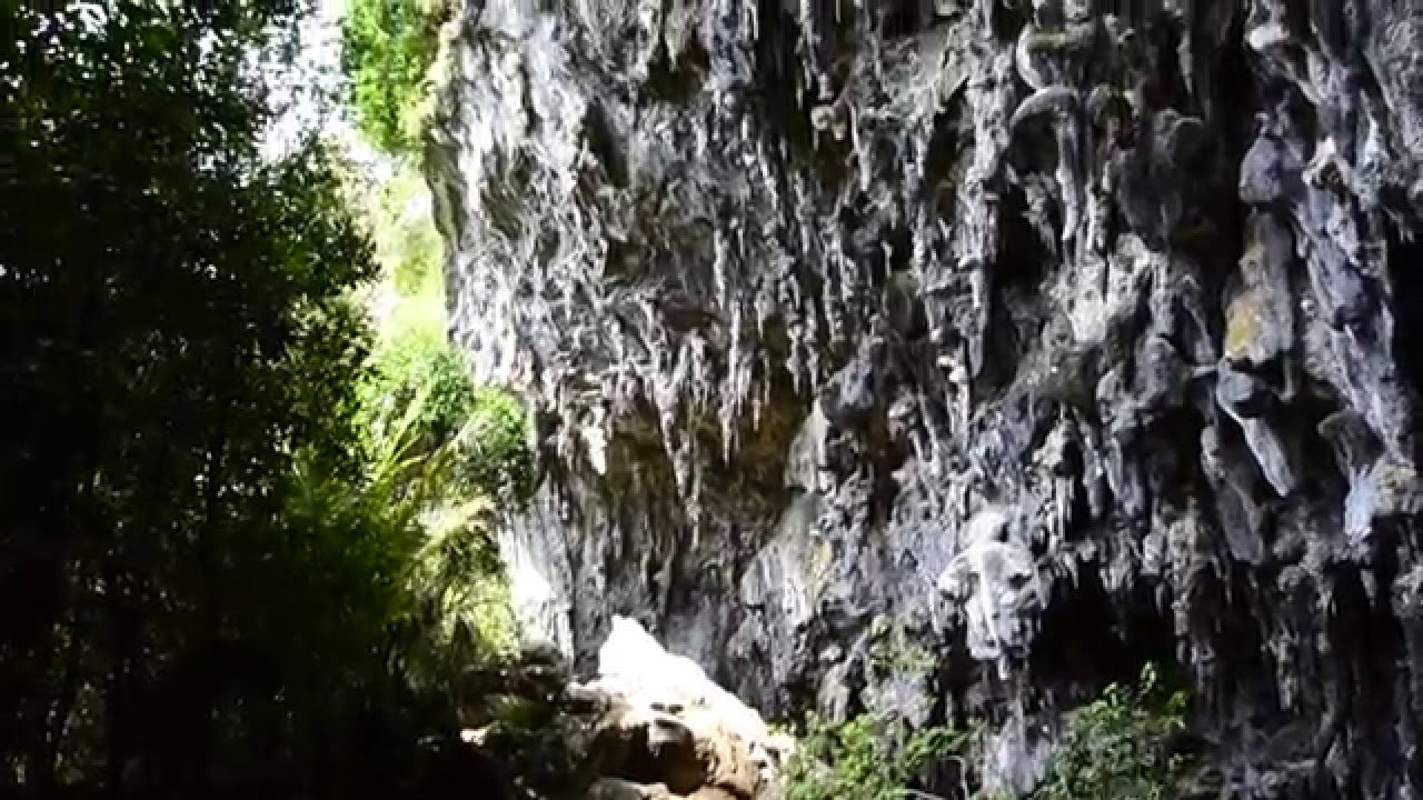 Mouth of Rawhiti Cave in New Zealand - YouTube