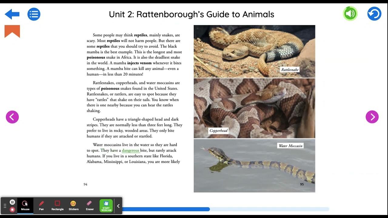 CKLA Grade 3 Unit 2 Lesson 9 - YouTube
