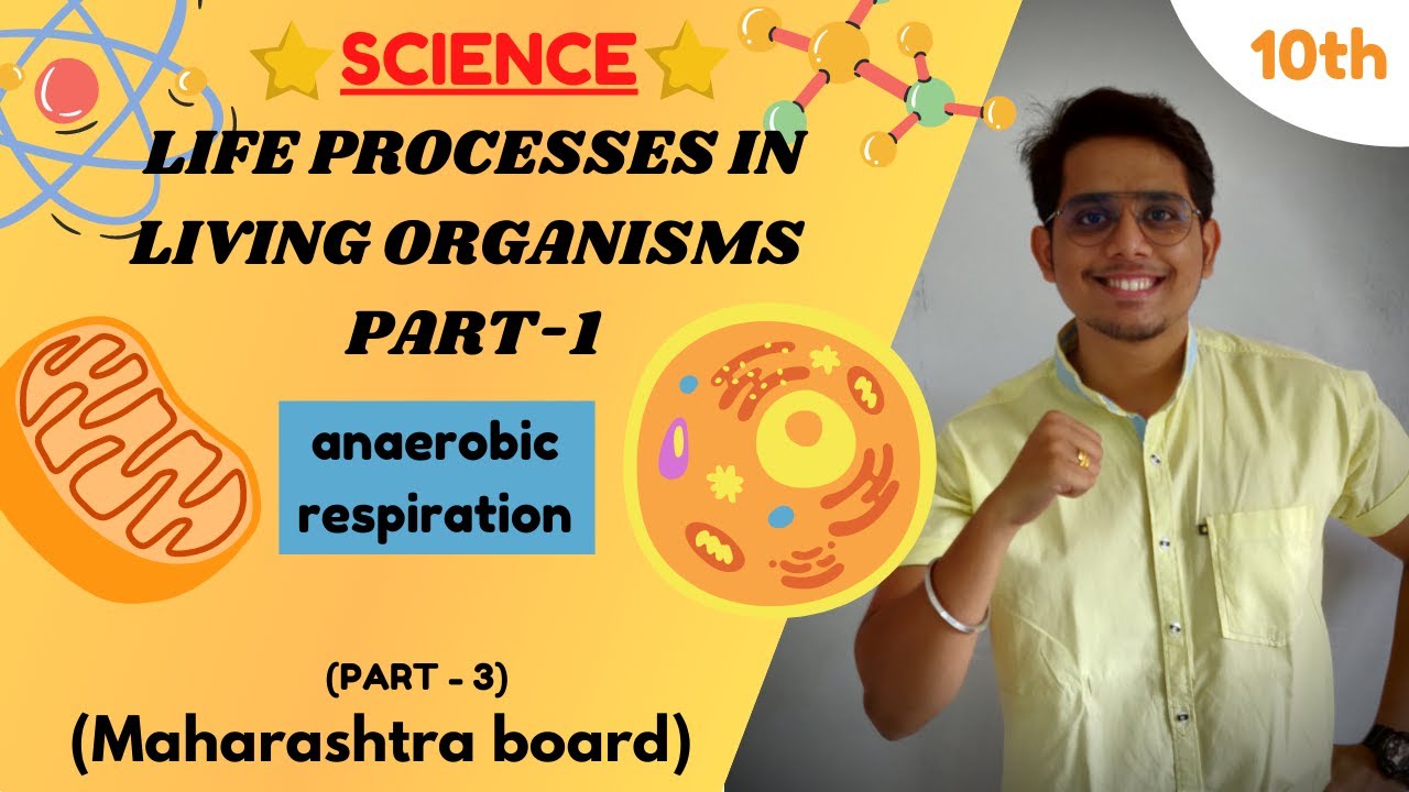 ANAEROBIC RESPIRATION!!! | LIFE PROCESSES IN LIVING ORGANISMS PART-1 ...