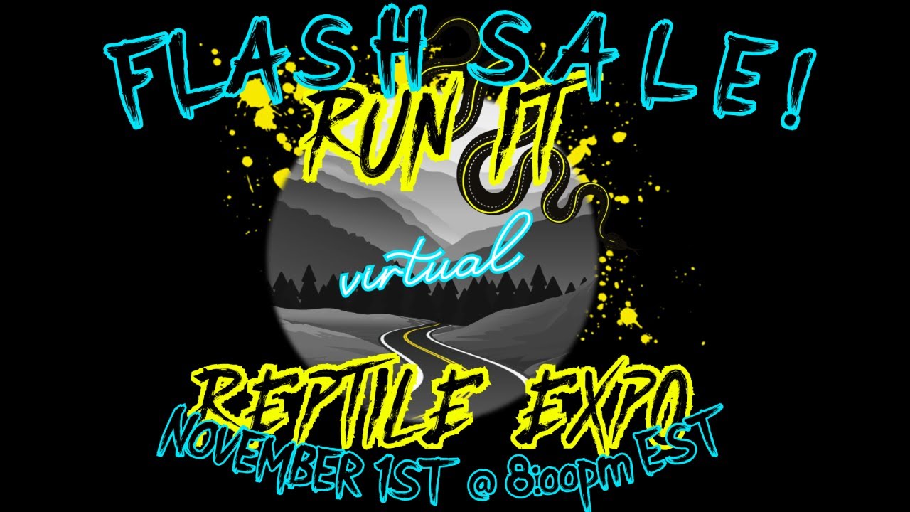 RUN IT Virtual Reptile Expo's November FLASH SALE Livestream! - YouTube
