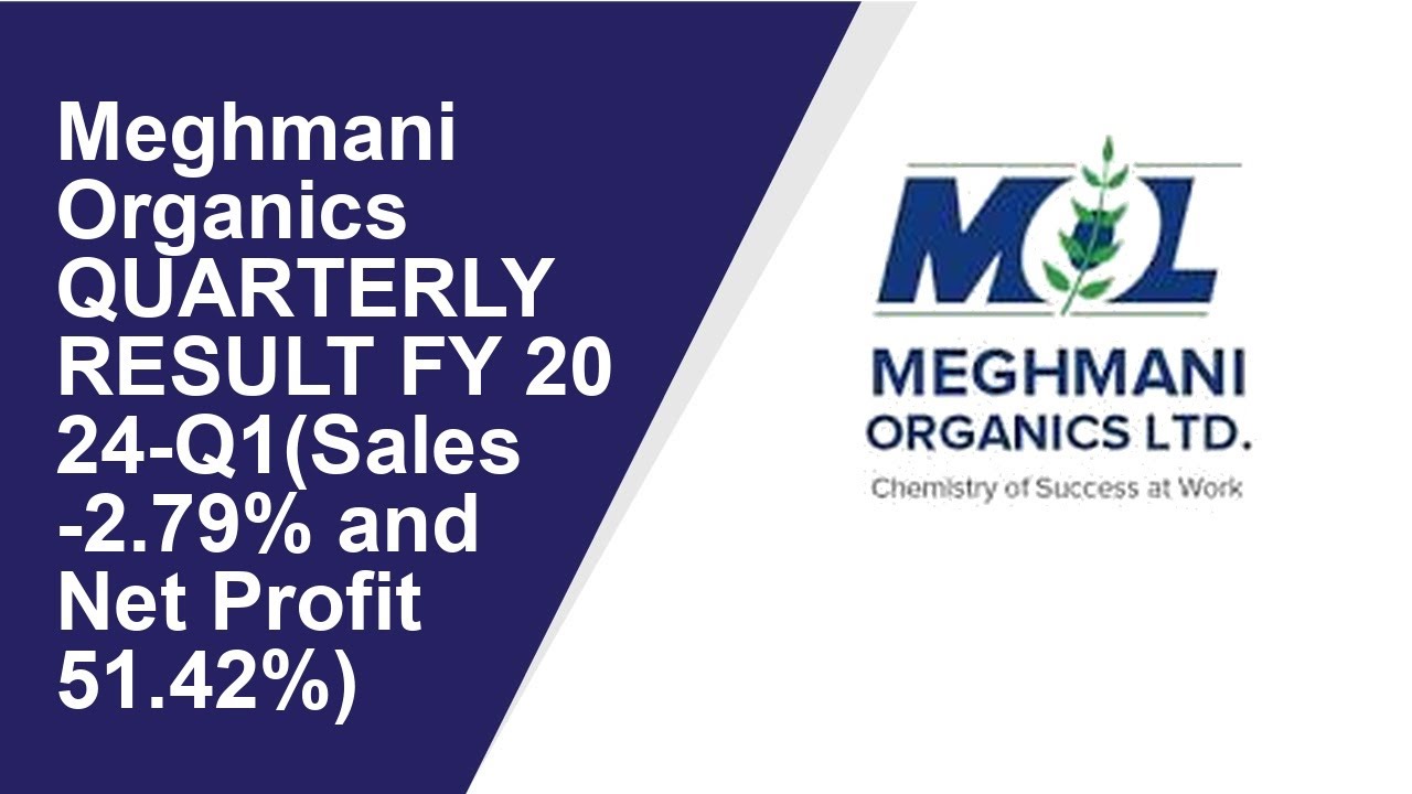 Meghmani Organics Consolidated Quarterly Result | Q1 Result 2024 ...