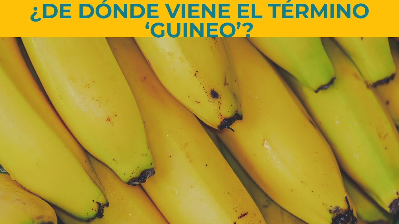 ¿De dónde viene el término 'guineo'? 🍌 - YouTube