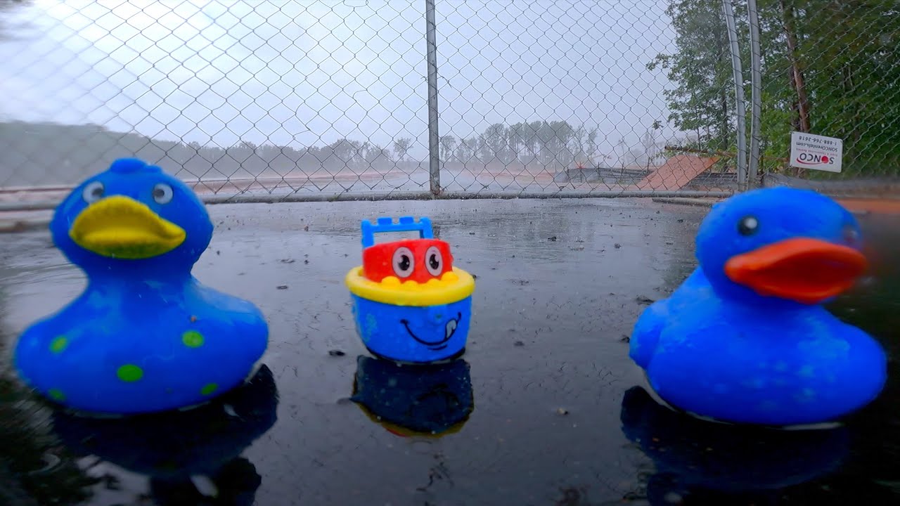 F1 Race with Ducks | Clean Comedy - YouTube