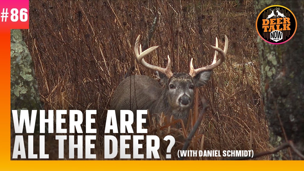 #86: WHERE ARE ALL THE DEER? | Deer Talk Now Podcast - YouTube