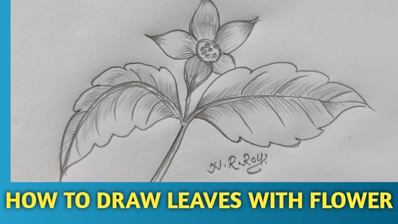 HOW TO DRAW LEAVES AND FLOWER||ASHA DRAWING VIDYALAYA||FLOWER - YouTube