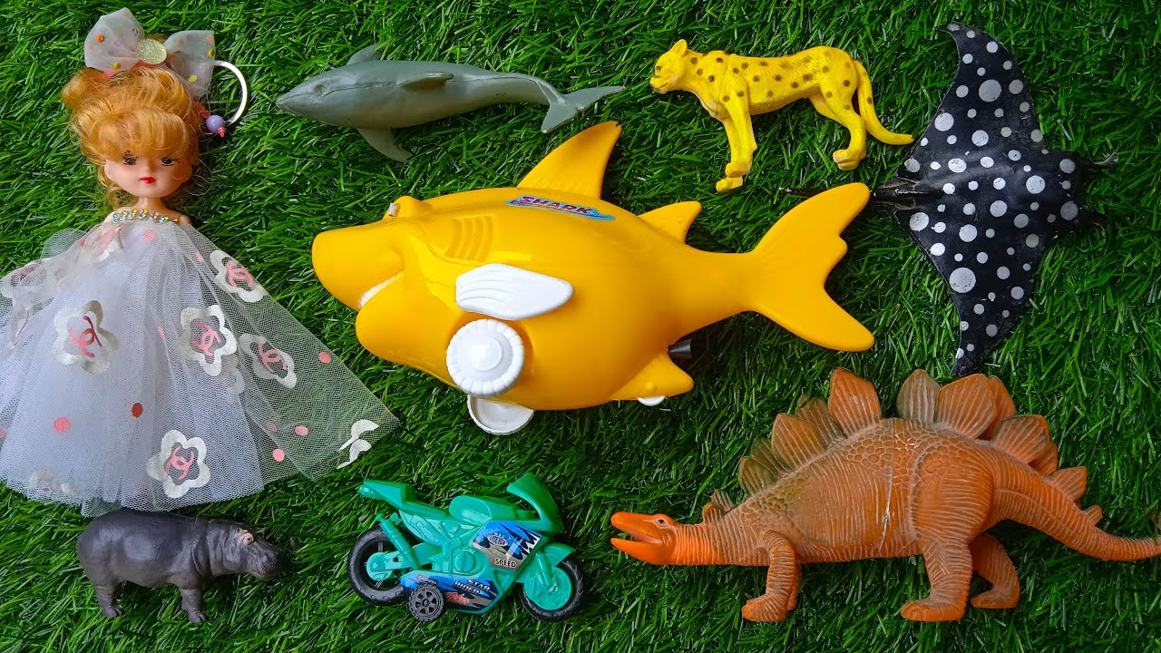 Ikan Hiu Boneka Barbie Ikan Lumba Lumba Cheetah Ikan Pari Stegosaurus ...