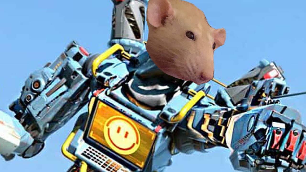 Ratting out the Rat🐀 - YouTube